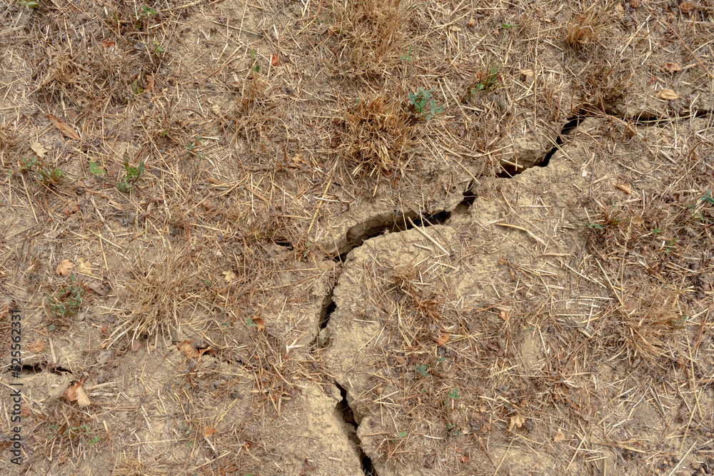 Cleft on dried out ground Stock Photo | Adobe Stock