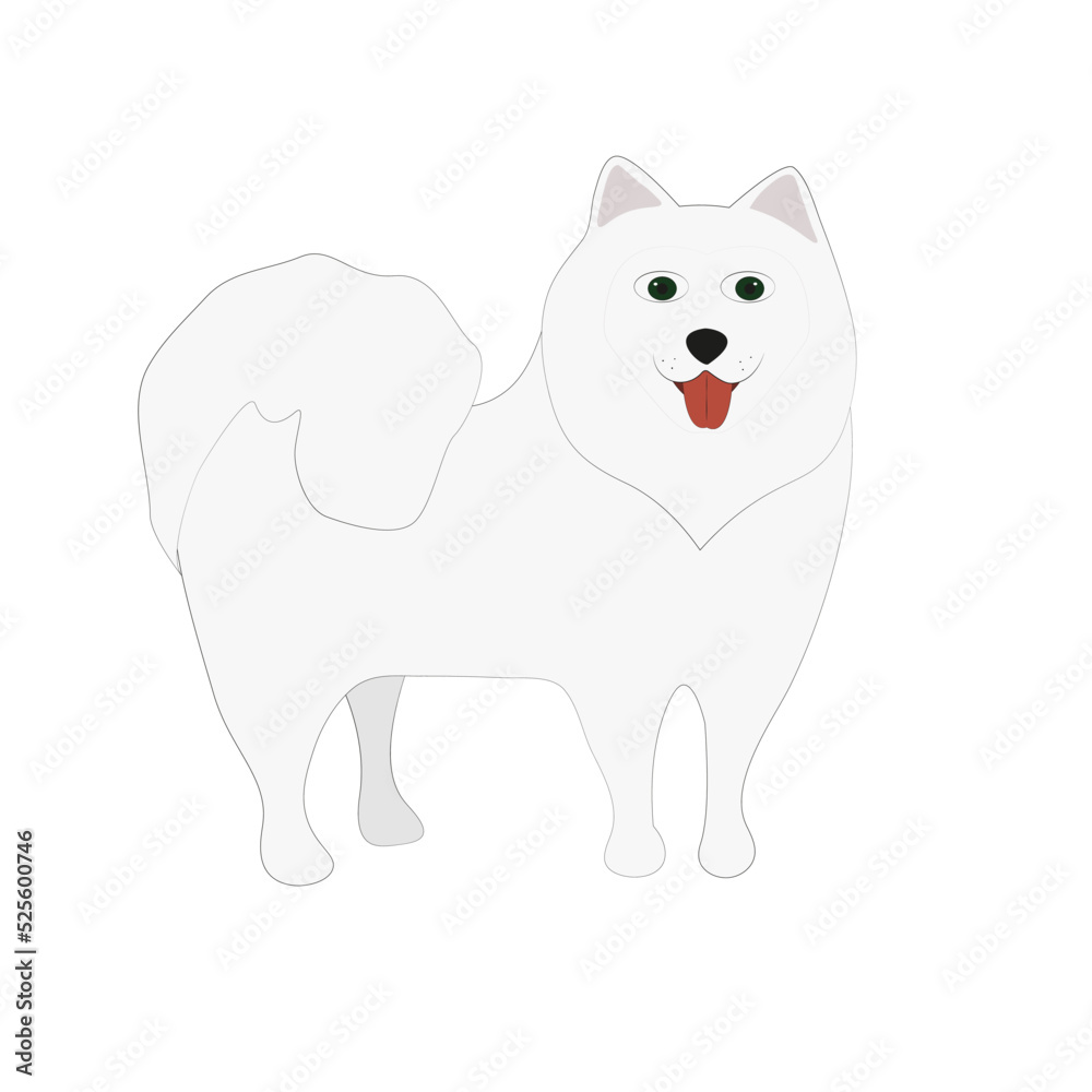 samoyed dog cartoon isolated on white Stock Vector | Adobe Stock