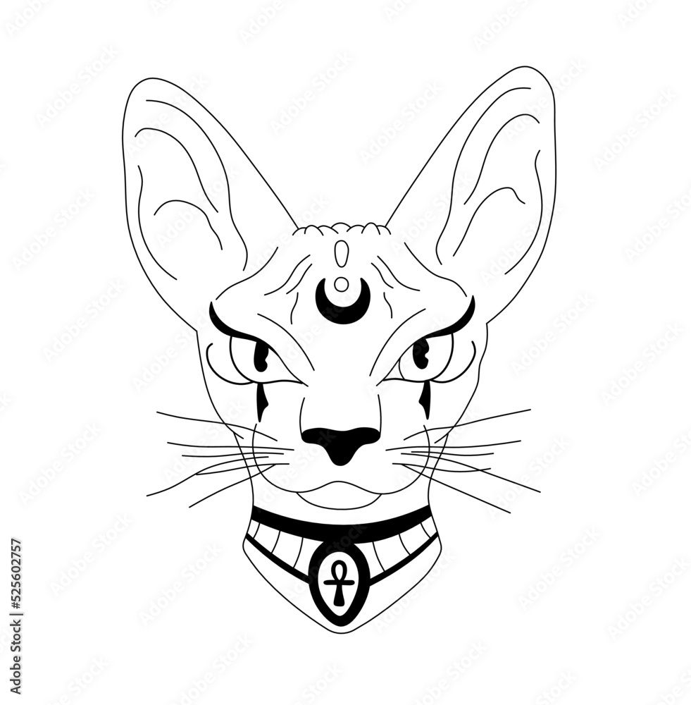 Vector isolated sphinx cat head with big ears egyptian style portrait ...