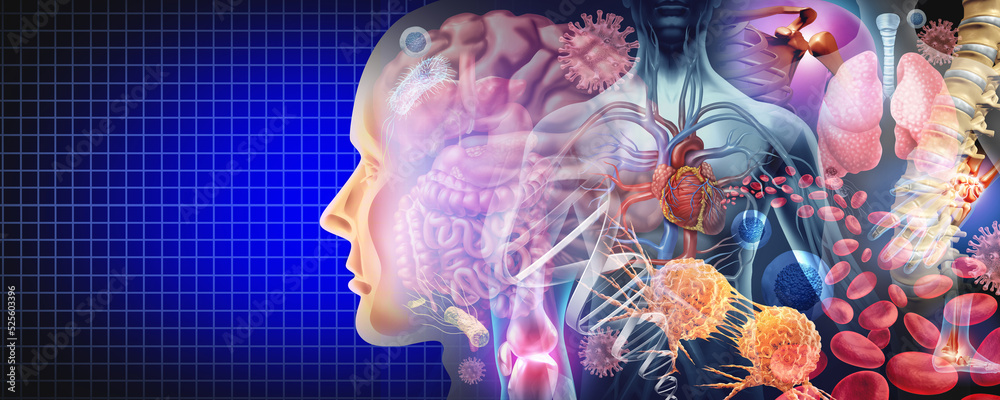 Human Medicine concept and medical idea for immunology dermatology ...