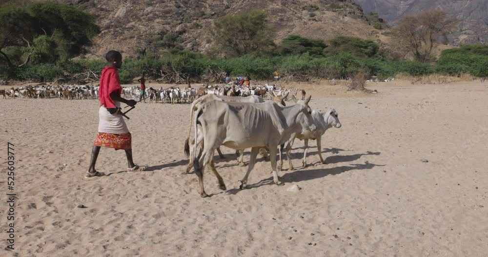 Climate change.drought.water crisis.Close-up side view.African man ...
