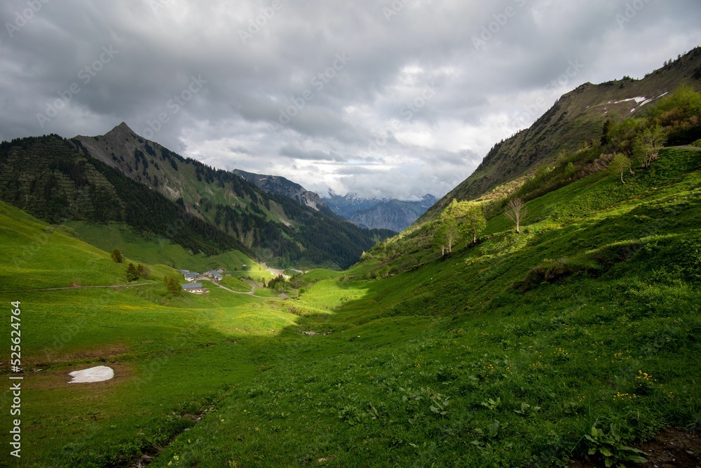 Mountainous valley covered with green grass, trees, and forests under a ...