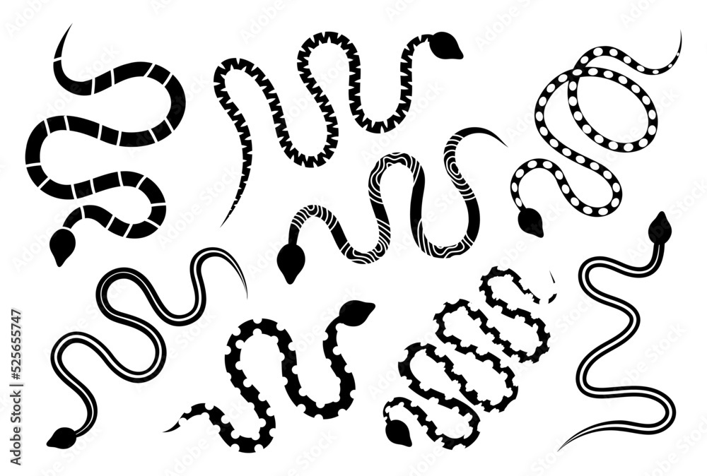 Black snakes silhouettes. Astrology symbol. Black snakes elements for ...