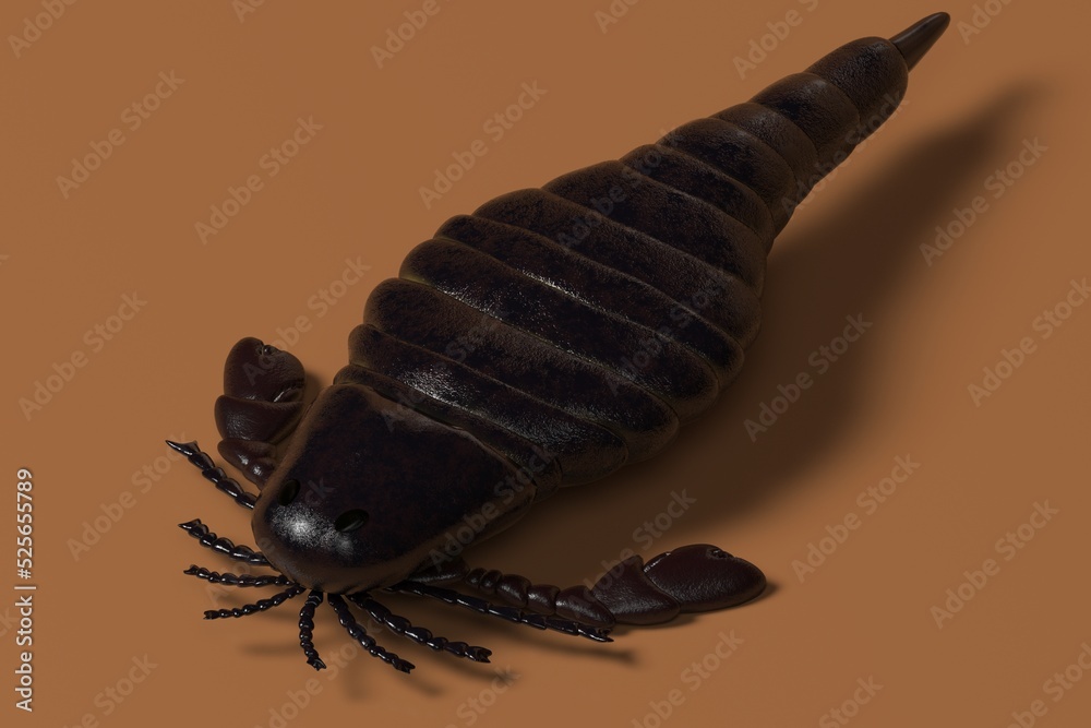 Carcinosoma is a genus of eurypterid, an extinct group of aquatic ...