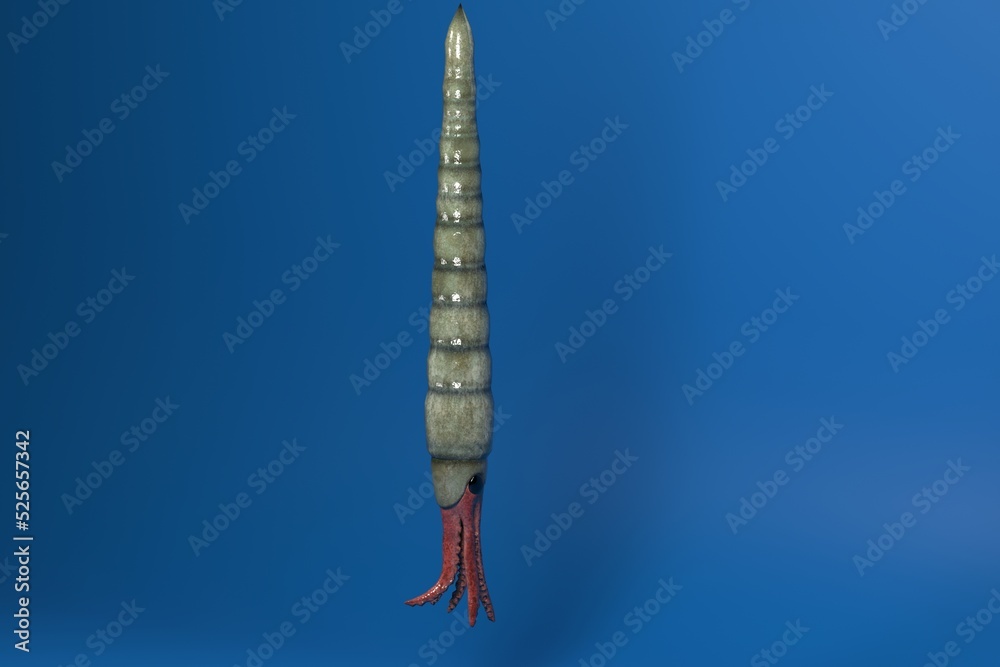 Endoceras is an extinct genus of large, straight shelled cephalopods ...