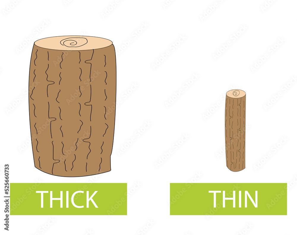 Antonyms Concept Thick And Thin Educational Flash Card With Trees Of Different Thicknesses