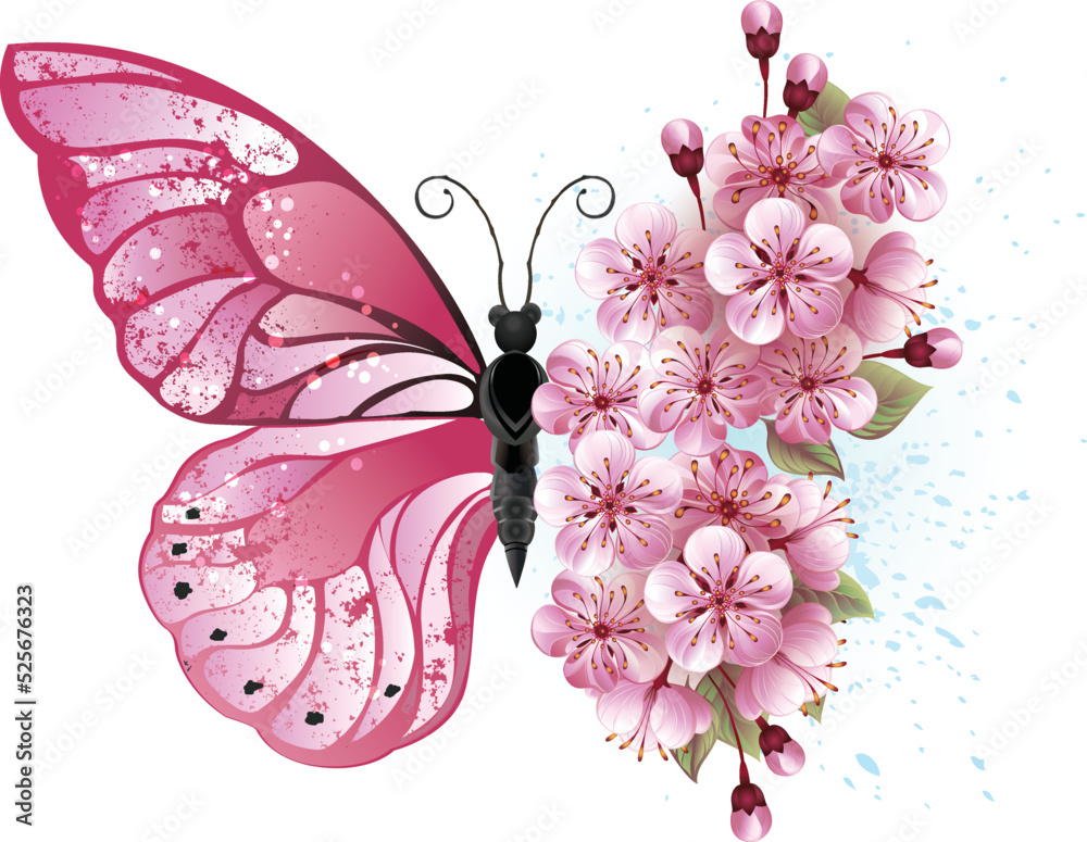 Pink Butterfly White Background