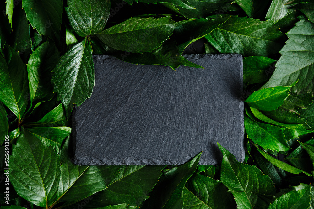 Slate bulletin board background green foliage. Stock Photo | Adobe Stock