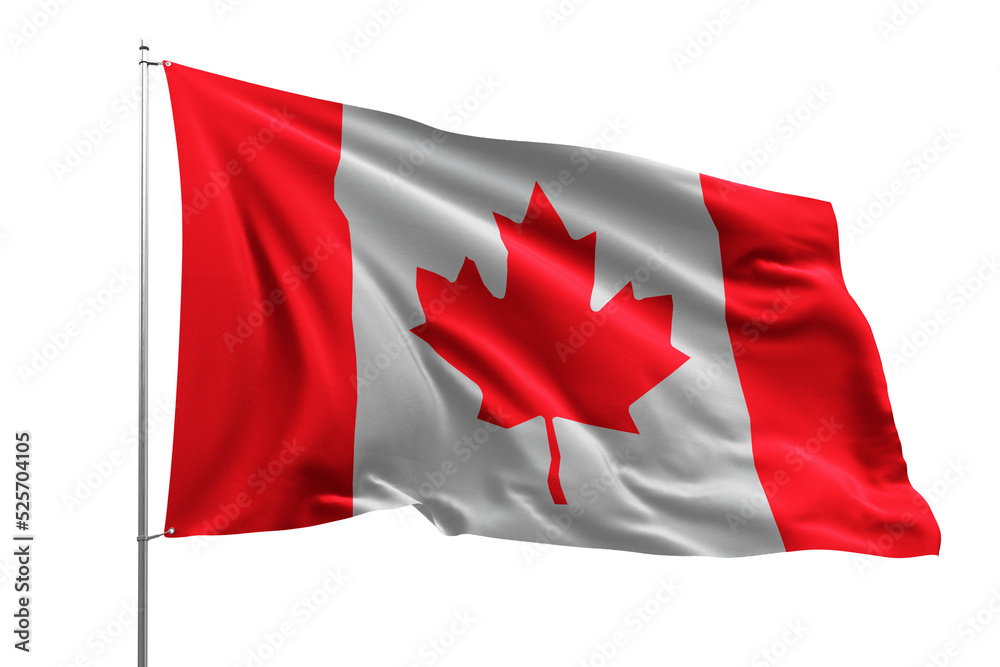 flag real realistic fabric flying wave shine country nation national ...