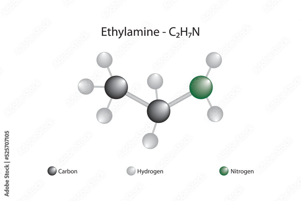 Molecular formula and chemical structure of ethylamine Stock Vector ...