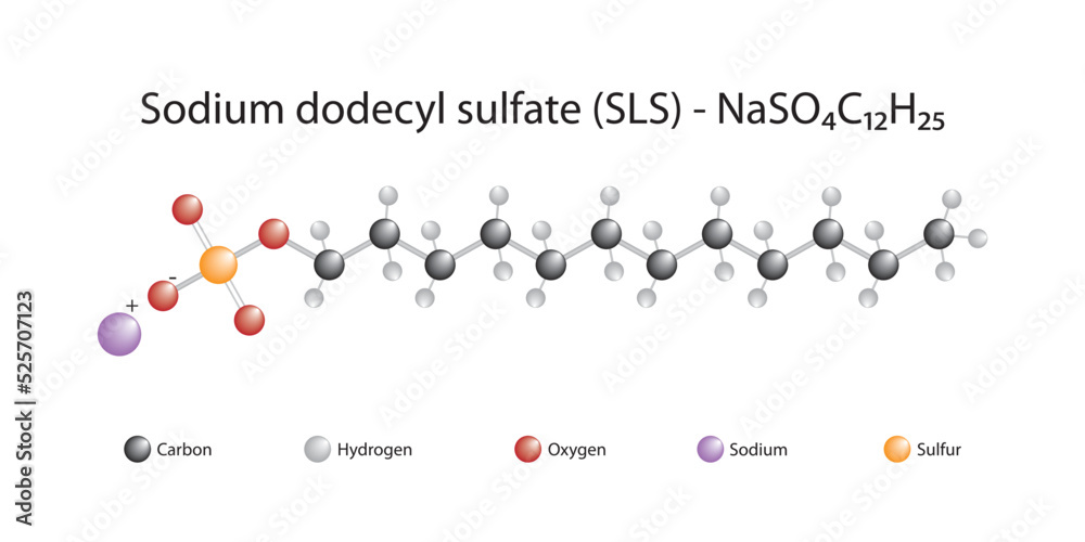 Molecular formula and chemical structure of sodium dodecyl sulfate ...