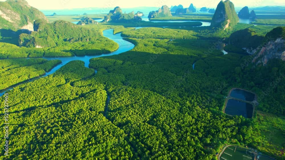 Drones are flying over winding rivers and large mangrove forests near ...