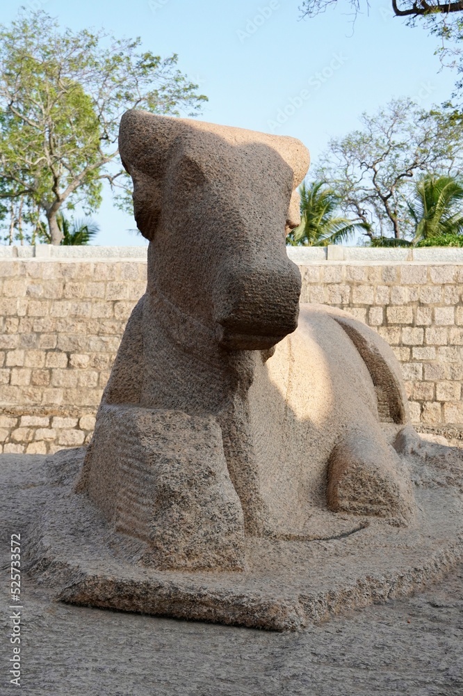 Monolithic Bull sculpture carved in the historic site at Mahabalipuram ...
