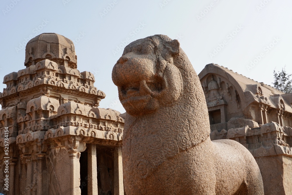 Monolithic Lion sculpture carved in the historic site at Mahabalipuram ...