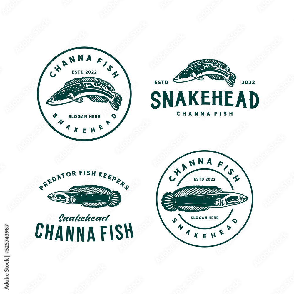 Vetor de Collection of Snake head fish emblem logo. channa fish logo ...