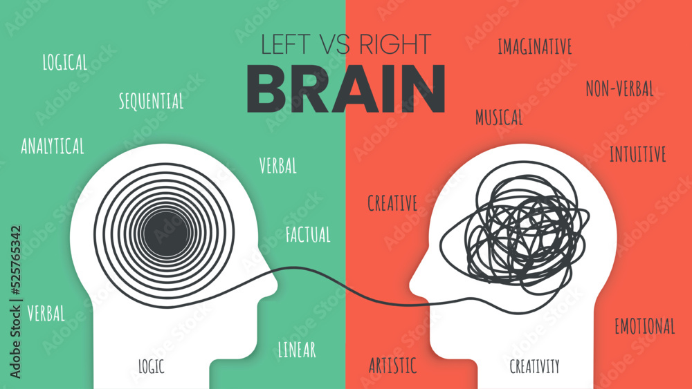 Vetor de Left Brain vs. Right Brain Dominance infographic template. How ...