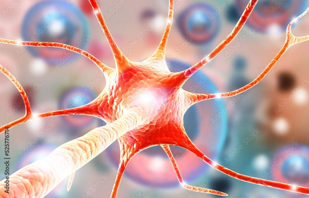 Human brain neurons anatomy. 3d illustration.. Stock Illustration ...