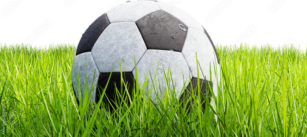 Soccer ball on pitch, PNG file. Realistic soccer ball on a grass field ...
