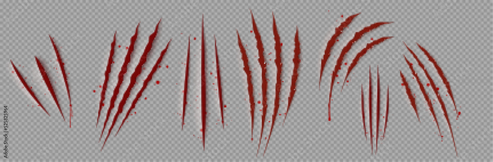 Bloody claw marks, realistic png set. 3D vector illustration of wild ...