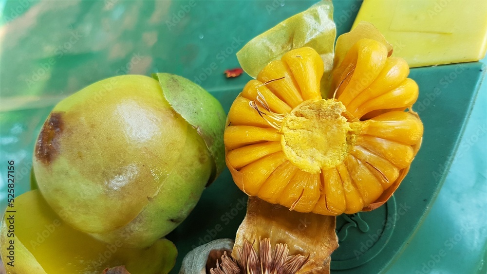 Dengen fruit is a seasonal fruit, the taste is very sour. The acid ...