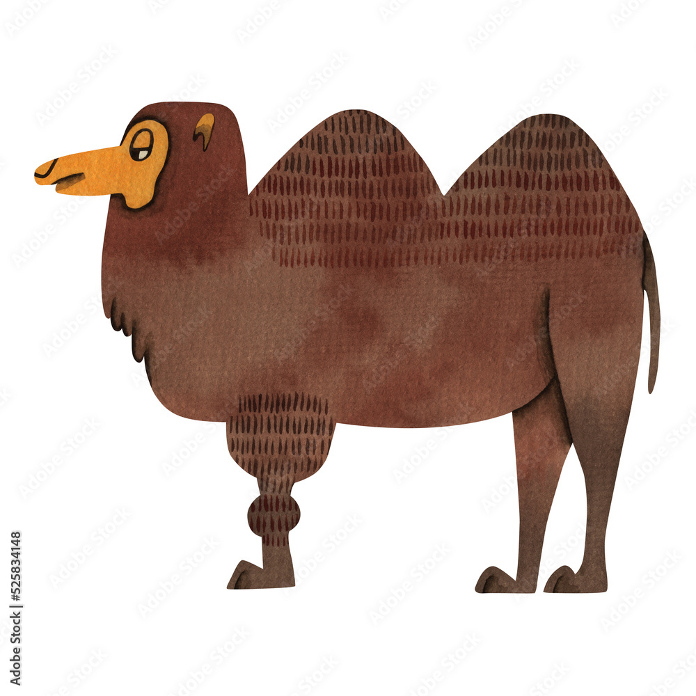 Watercolor two-humped camel. Cartoon illustration isolated on white ...