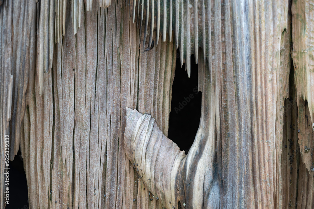 Sun-burned and weather-beaten wooden planks, showing variations of ...