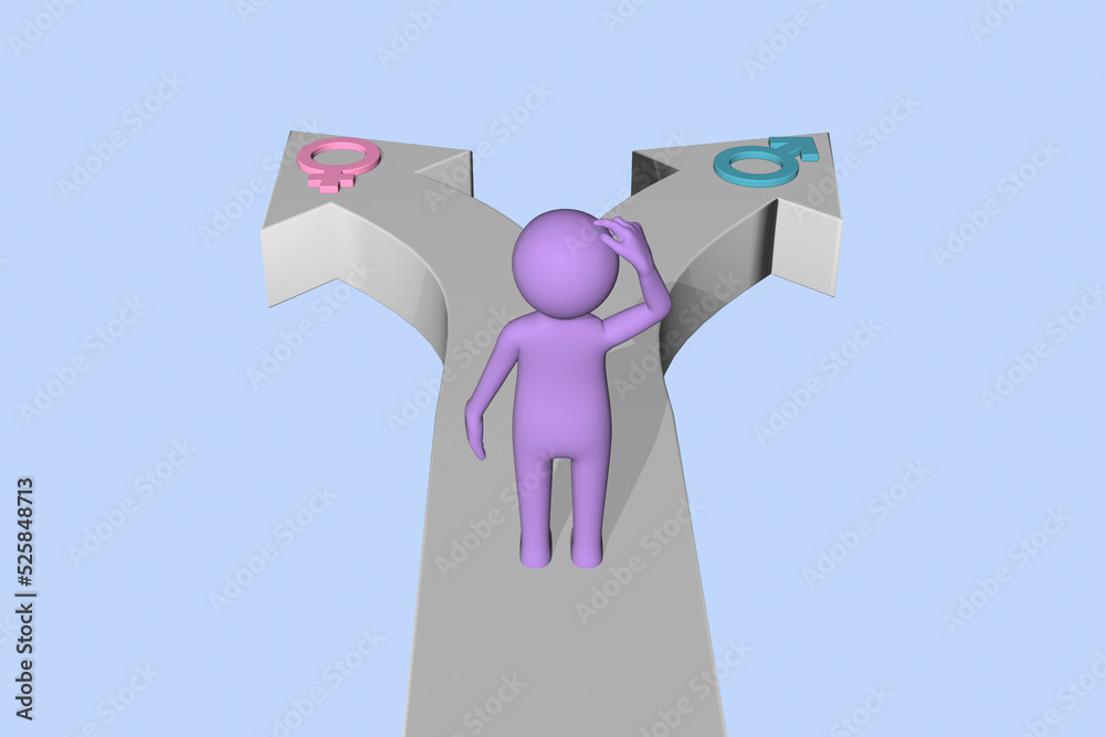 3D rendered male female symbols or signs representing gender choice or ...