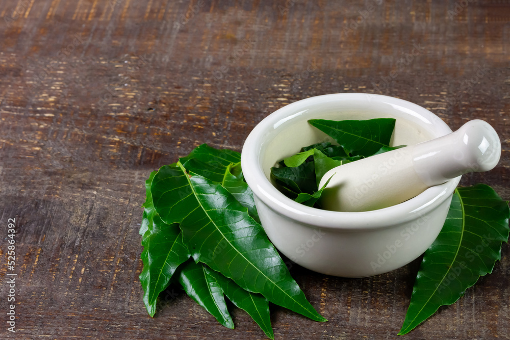 Medicinal Neem leaf in mortar and pestle with neem leaf on rustic ...