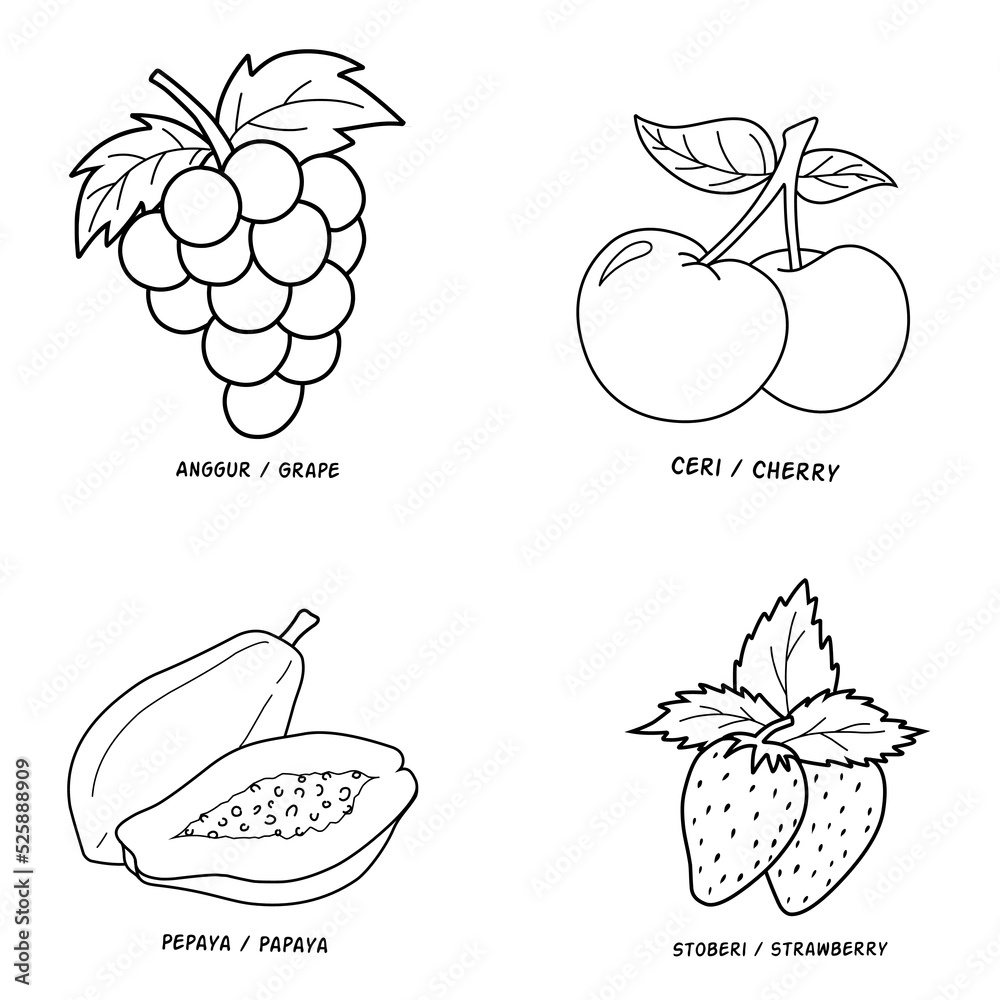 Vector illustration of fruits coloring page with the name of each fruit ...