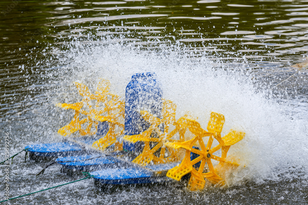 Rotary aerators used in large fish ponds Stock Photo | Adobe Stock