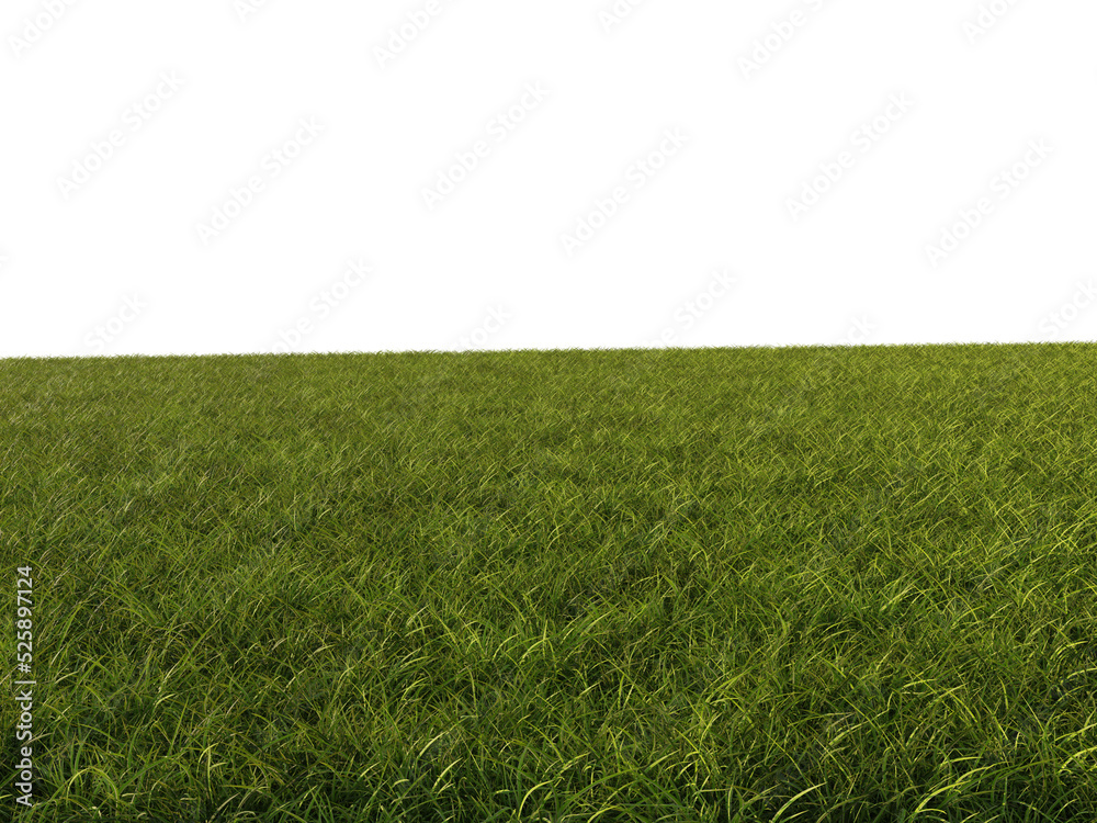 Photo & Art Print Grass Foreground Floor with Perspective, Transparent ...