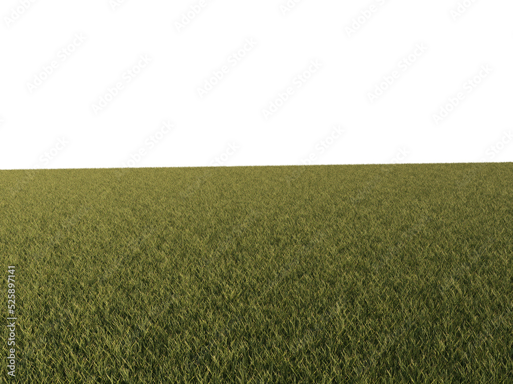 Grass Foreground Floor with Perspective, Transparent Background PNG ...