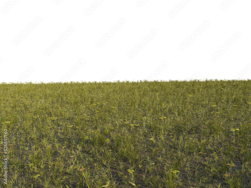 Grass Foreground Floor with Perspective, Transparent Background PNG ...