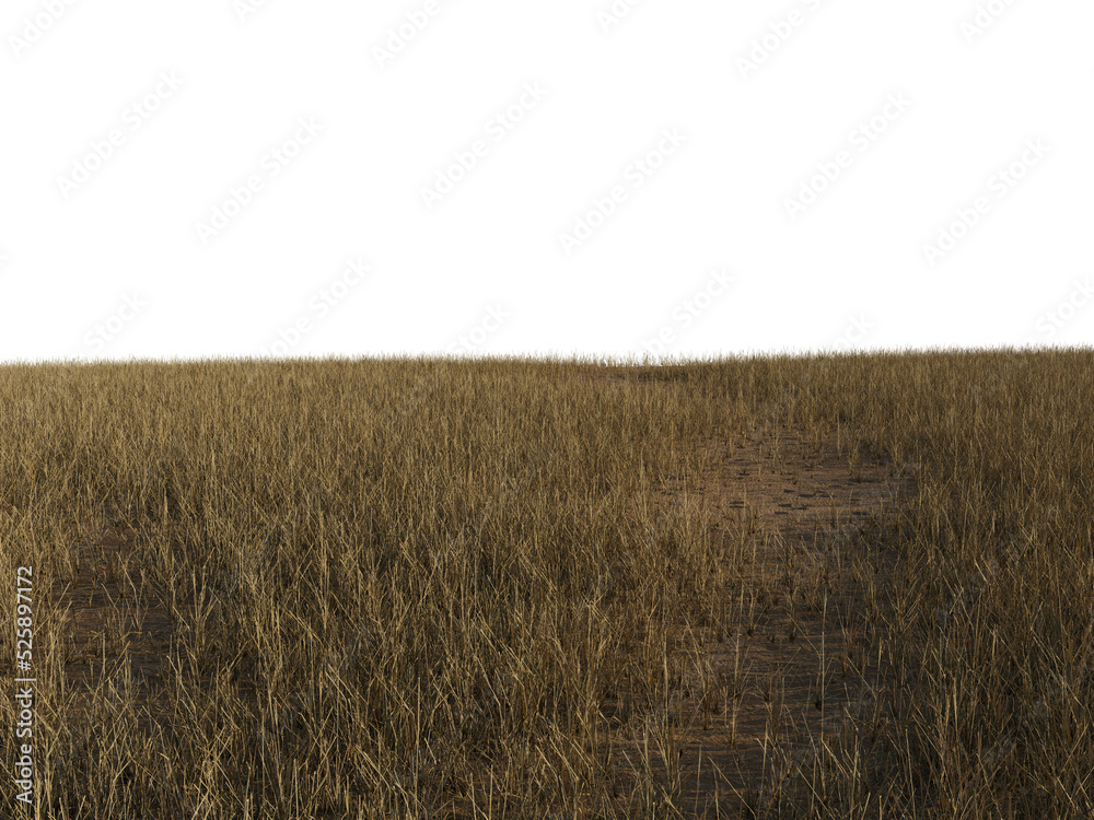 Poster Grass Foreground Floor with Perspective, Transparent Background ...