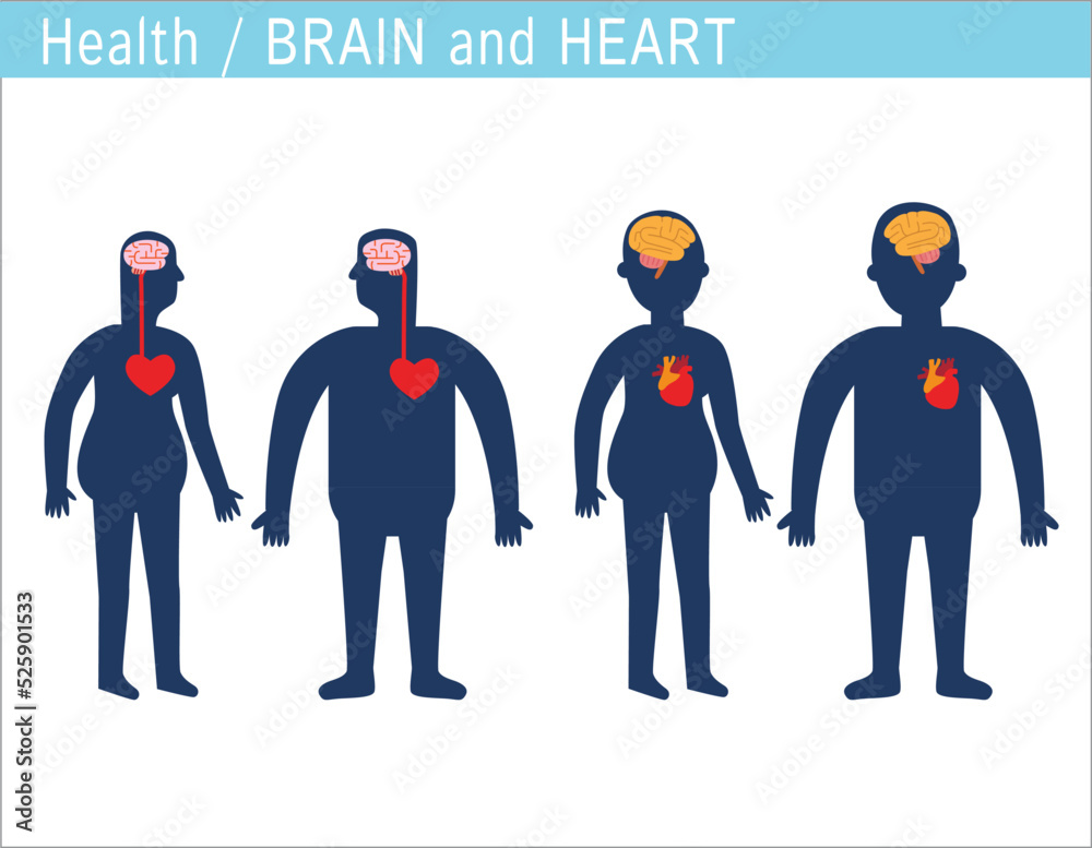 Cartoon human body silhouette with brain and heart. Stock Vector ...
