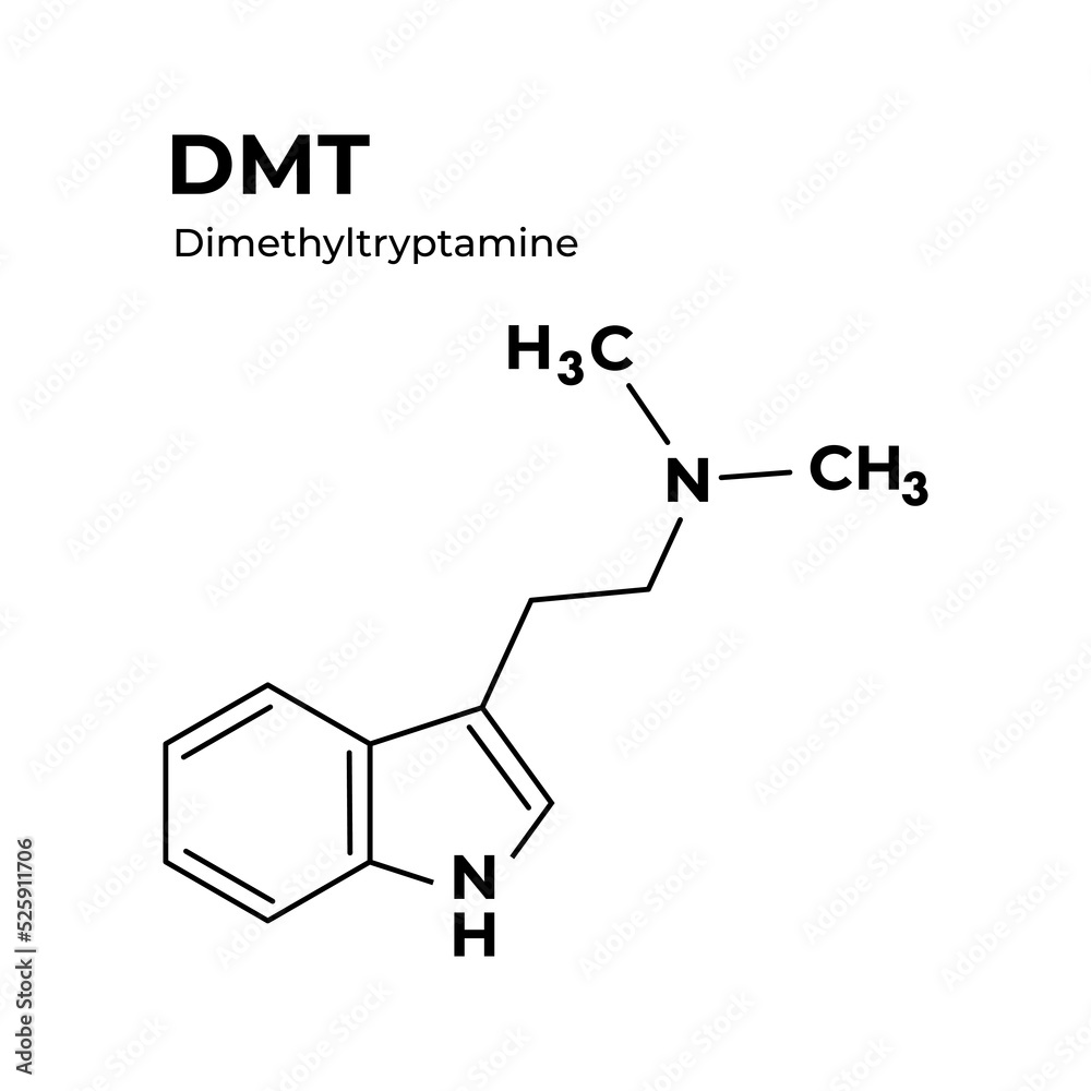 DMT Dimethyltryptamine Flat Chemical Formula Isolated On White DMT Dimethyltryptamine Flat Chemical Formula Isolated On White