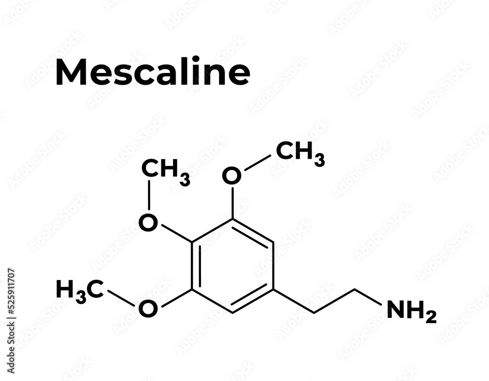 Mescaline peyote phychedelic drug flat chemical formula isolated on ...