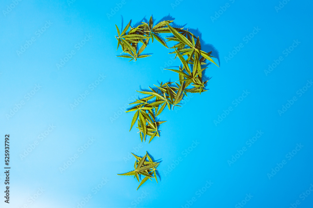 question mark made from cannabis leaves on a blue background Stock ...