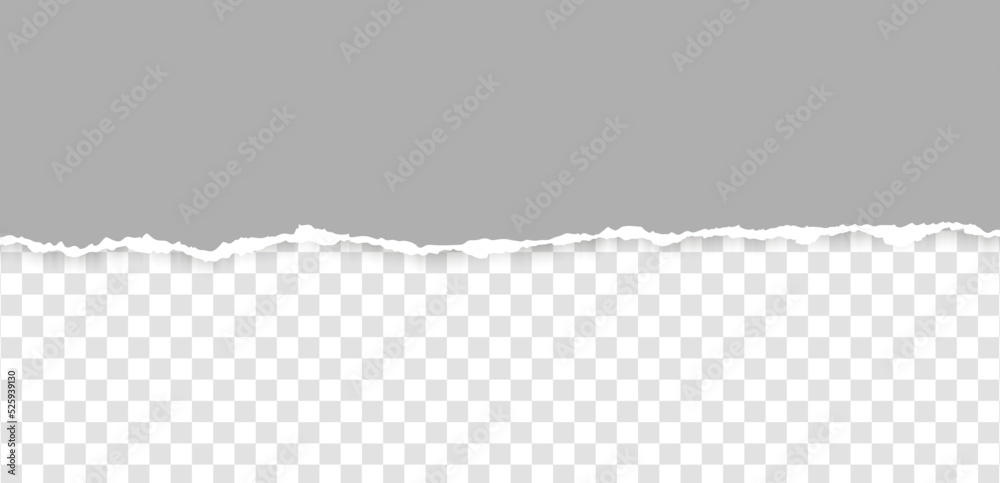 Realistic, torn, ripped strip of grey paper with a light shadow on a ...