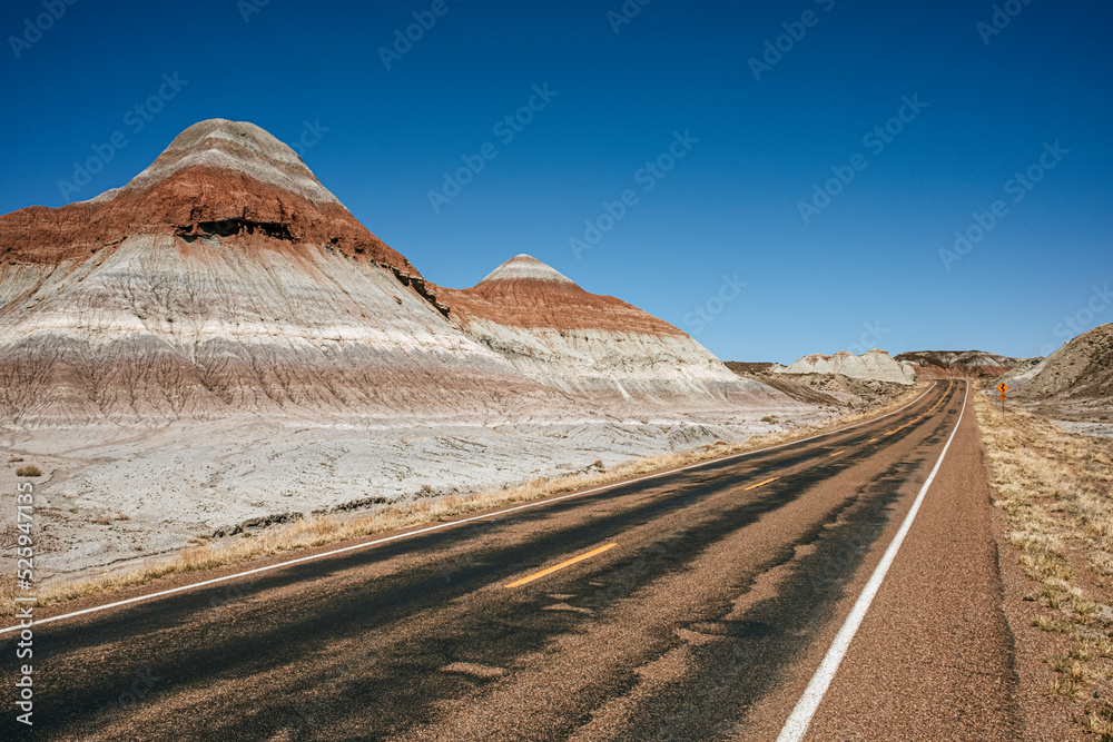 Road passes colorful dirt mounds in Petrified Forest national park ...