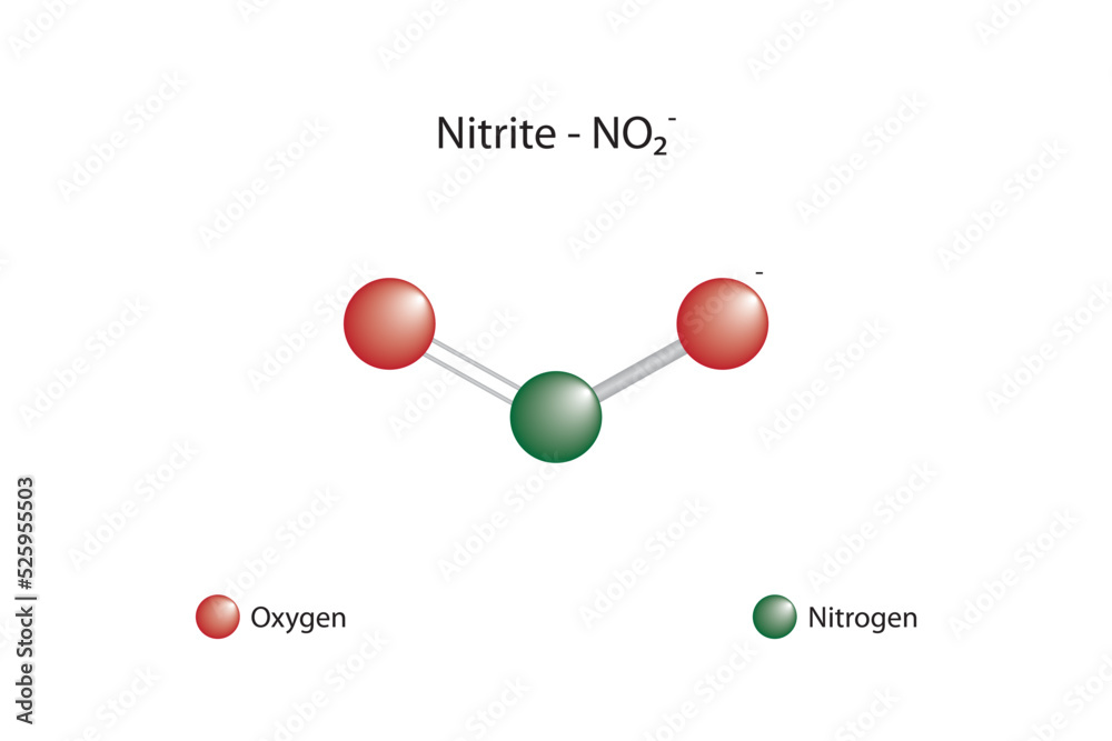 Molecular formula and chemical structure of nitrite Stock Vector ...