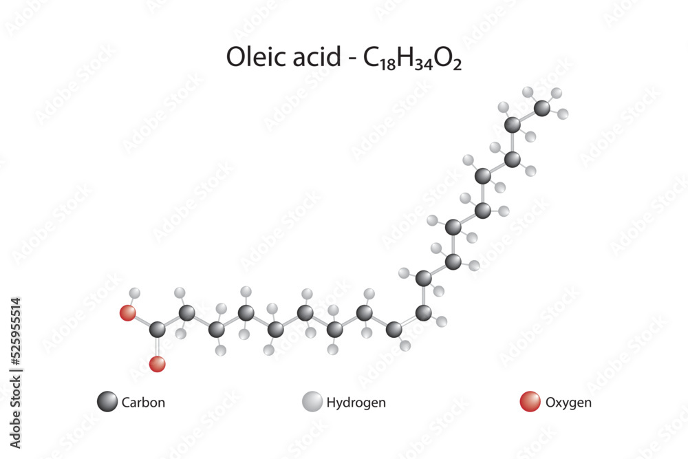 Molecular formula and chemical structure of oleic acid Stock Vector ...