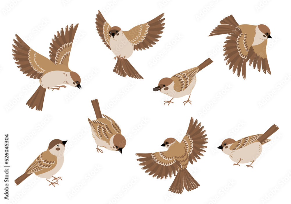 Flying Birds Cartoon Set Stock Vector | Adobe Stock