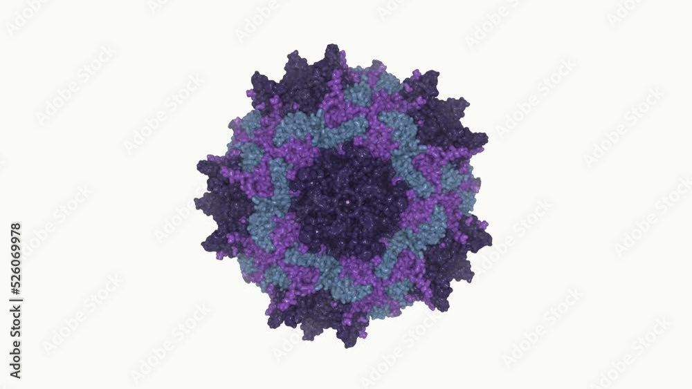 Scientifically accurate 3D structure of black queen cell virus (BCQV ...