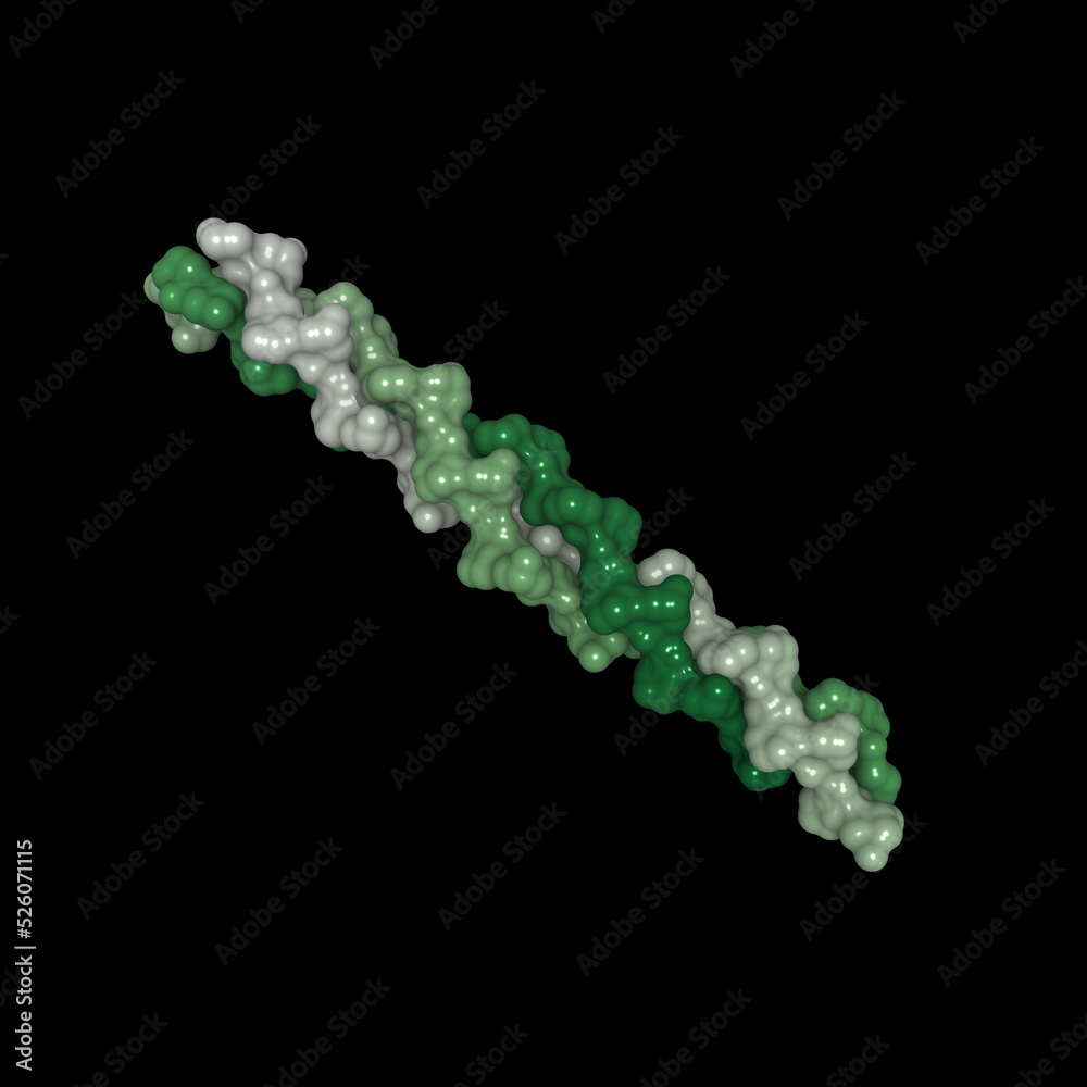 Molecular structure of collagen. Collagen is composed of three chains ...