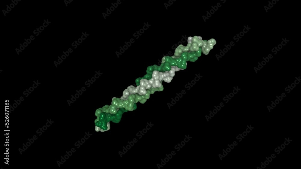 Molecular structure of collagen. Collagen is composed of three chains ...