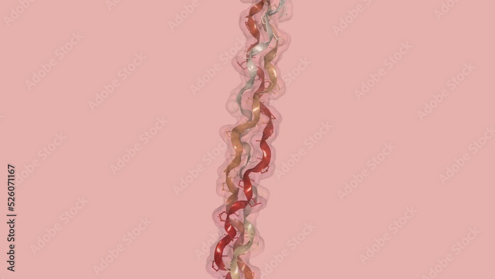 Rotating molecule of collagen. Scientifically accurate 3D rendering ...