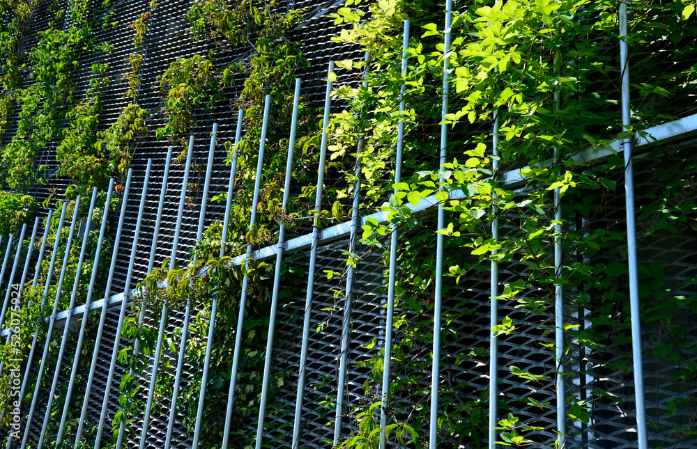 steel cladding of a building with a expanded metal lattice structure ...