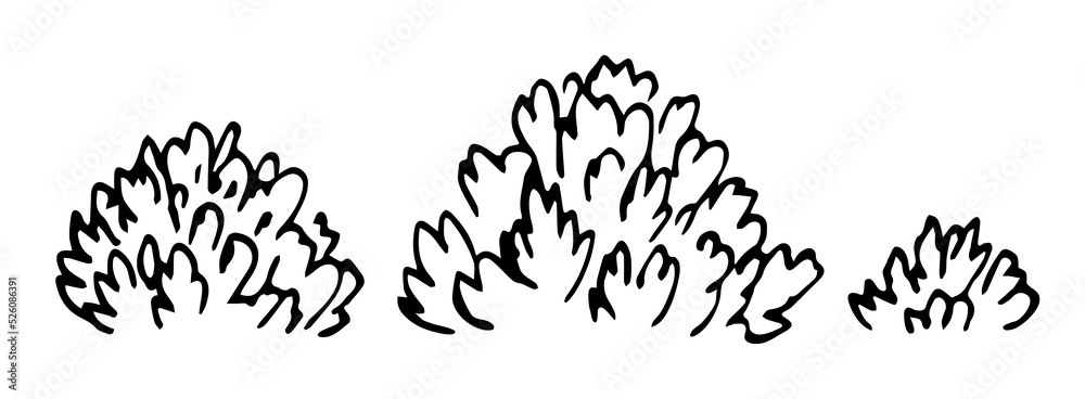 Simple vector drawing in black outline. Set of bushes, forest park ...