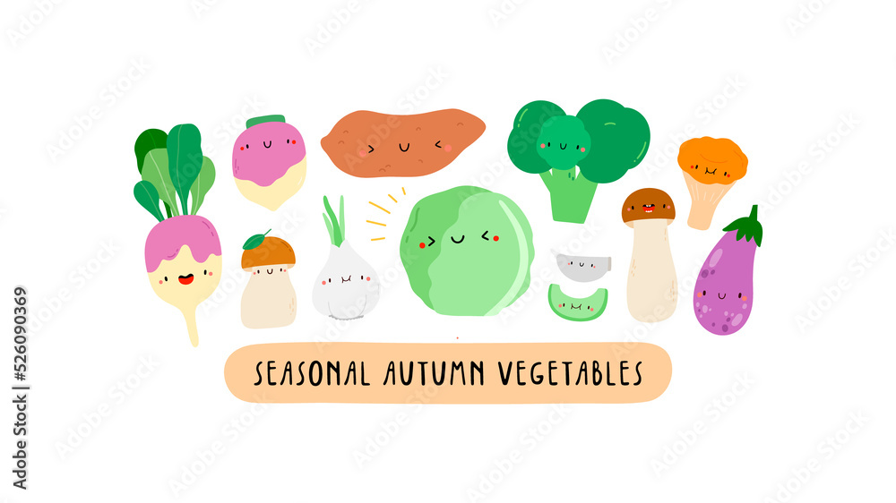 Cute illustration with Seasonal Autumn Vegetables on a white background ...